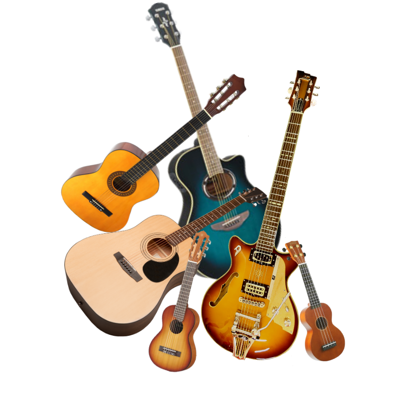 Fretted Instruments